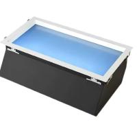 China Led Blue 2700K Ceiling Light Sky With Free App Smart Panel For Hotel And Family for sale