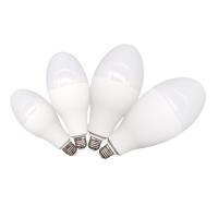 China Bowling Indoor Led Light Bulbs 20w 30w 40w 50w High Power for sale