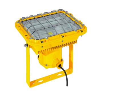 China High Lumen 90lm/W Explosion Proof Lamp 30W-70W for sale