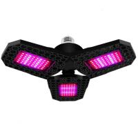 China Grow Light Indoor and Outdoor Full Spectrum Plant Light Transformable red blue color for Plant seedlings for sale