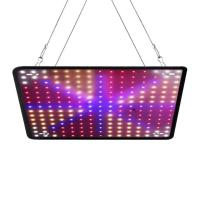 China Economical Model Full Spectrum Plant Growth Lamp Red Blue Light for Greenhouse Lighting for sale