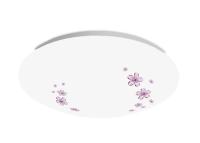 China PMMA Round Circular Ceiling Mounted LED Lights 18 Watt AC175-265V AN-XD-JY-18-01 for sale