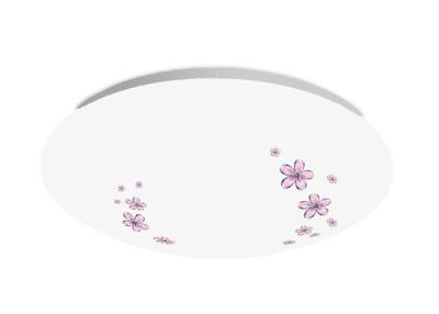 China PMMA Round Circular Ceiling Mounted LED Lights 18 Watt AC175-265V AN-XD-JY-18-01 for sale