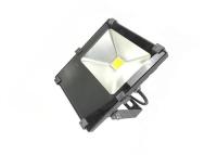 China RGB 30W Spot Light AC100-277V Floodlight Fixtures for Park and Garden for sale