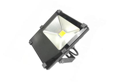 China RGB 30W Spot Light AC100-277V Floodlight Fixtures for Park and Garden for sale