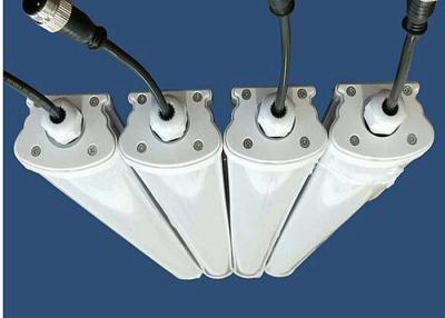 China Excellent Efficiency LED Tri Proof Lamp AC100 - 277V For Wash Operation for sale