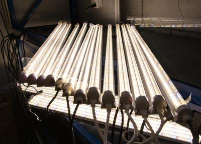 China Size 120mm High Power Grow Lights 24w Input 100 - 240VAC For Indoor Plant for sale
