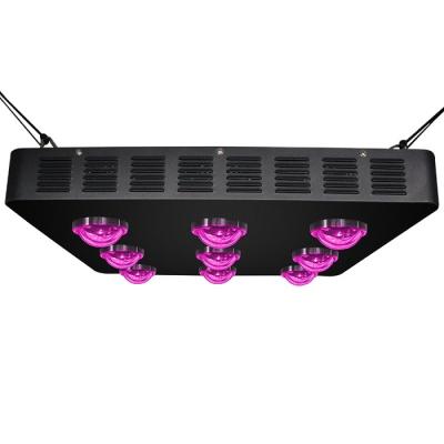 China Energy Saving IP65 Indoor LED Grow Light COB For Scaled Medical Plant High Yield for sale