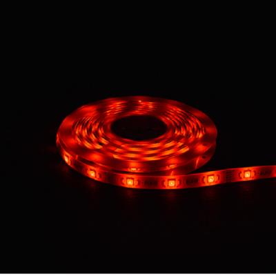 China 12V DC RGB 2835 2700K 30LEDS + 2835 6500K 30LEDSSmart Flexible RGBW LED Strip Light for sale