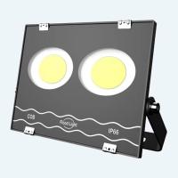 China Garden Use COB Floodlight From 50w to 600w with Special Design Spot Light for sale