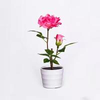 China Ip65 Cri70 3years warranty 110lum  3pcs Led Solar Flower Lights for sale
