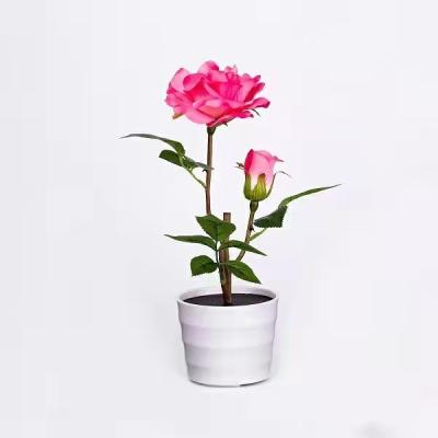 China Ip65 Cri70 3years warranty 110lum  3pcs Led Solar Flower Lights for sale