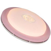 China 15000h Mosquito Kill Ceiling Mounted Led Lights 176v Round For Living Room for sale