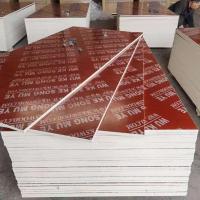 China 1250*2500 Birch Film Faced Plywood Waterproof Heavy Duty Plywood Weather Resistant for sale