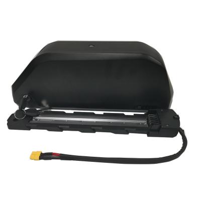 China 15Ah 48v 1000w Lithium Ion Battery Ebike Lithium Batteries Hailong for sale