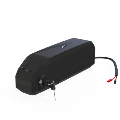 China 48V 20AH Hailong Ebike Battery for sale