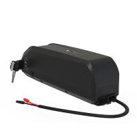 China 48V 20AH Hailong Ebike Battery for sale