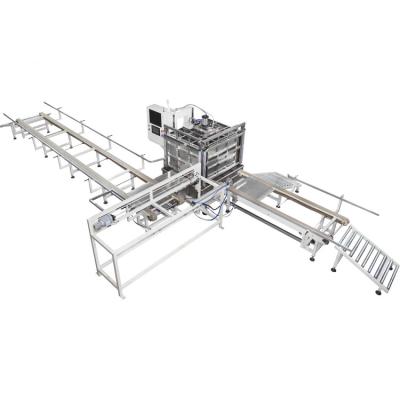 China 1000L 1200L IBC Tank Cage Detection Line IBC Leakage Testing Machine for sale