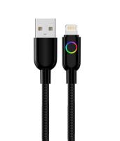 China CC 60w CC100W Colorful RGB Light Cable Black 1m with Cutting-Edge Tech for sale