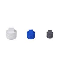 China Threaded Standard Pvc Pipe Plugs Caps Pvc End Plug For Irrigation for sale