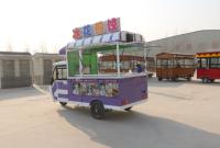 China Lightweight Wasp 3 Wheeled Electric Food Truck 500kg CE ISO Certified Mobile Cafe for sale