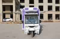 China Lightweight Wasp 3 Wheeled Electric Food Truck 500kg CE ISO Certified Mobile Cafe for sale