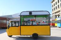 China Lightweight Wasp 3-Wheeled Electric Food Truck 50km/h 100km Range Mobile Cafe for sale