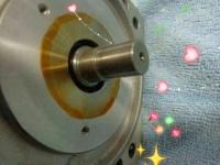 China Yaskawa USASEM-08FJ21 AC SERVO MOTOR 771W 3000RPM 200V 5.3A NEW for sale