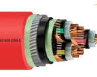 China CU/XLPE/CTS/SWA/PVC Steel Wire Armoured Power Cable MV Copper Cable for sale