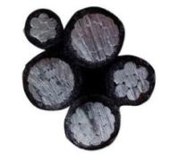 China Overhead Power Distribution Aerial Power Cable Hard Drawing AL Conductor for sale