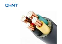 China 0.6/1kV XLPE Insulated Power Cable 4 - 5 Cores For Industrial Wiring for sale