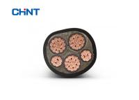 China PVC Sheathed Copper Power Cable Low Voltage XLPE Insulated Cable 1 - 5 Core for sale