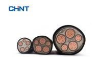 China PVC Sheathed Copper Power Cable Low Voltage XLPE Insulated Cable 1 - 5 Core for sale