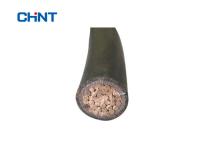 China XLPE Insulated Low Voltage Power Cable PVC Sheath IEC60502 BS7870 Standard for sale