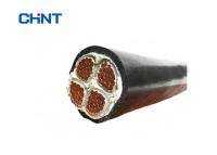 China 0.6/1kV XLPE Electrical Cable Class 1 / 2 Copper Conductor PP Material Filler for sale