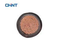 China 0.6/1kV XLPE Electrical Cable Class 1 / 2 Copper Conductor PP Material Filler for sale