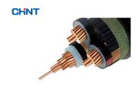 China Medium Voltage Copper Conductor XLPE Insulated Power Cable 1 or 3 core for sale