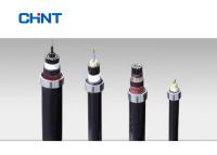 China PVC / XLPE Insulation Armoured Control Cable Flame Retardant Copper Conductor for sale