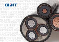 China Fire Resistant Low Smoke Zero Halogen Power Cable Class 2 Compacted Round Conductor for sale