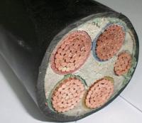 China 1KV Power XLPE Power Cable With Class 2 Compacted Round Conductor for sale