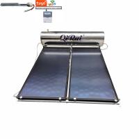 China Compact Pressurised Flat Plate Solar Water Heating System 100L to 300L for sale