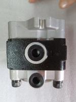 China Pilot pump PVD1B29BP12G5463 of Yangma B3-3 for sale
