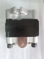China Pilot pump PVD1B29BP12G5463 of Yangma B3-3 for sale