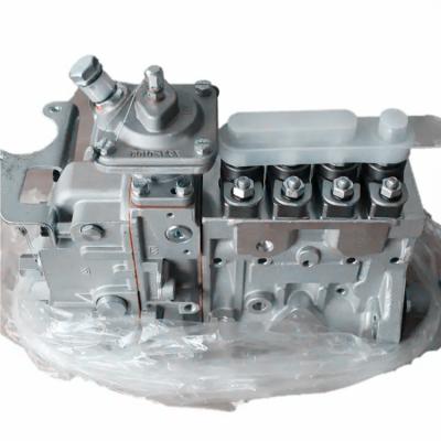 China 4110002925025 Diesel Engine Parts B4PN537G8 1000185678 Fuel Injection Pump For Wechai for sale