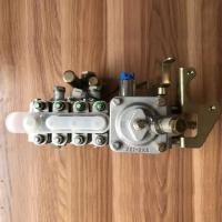 China 4110002925025 Diesel Engine Parts B4PN537G8 1000185678 Fuel Injection Pump For Wechai for sale