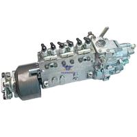China 101060-6820 101603-2800 Fuel Injection Pump for Hino J08C J08CT Diesel Engine Truck Parts for sale