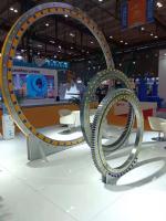 China TEM Rexroth   Excavator Swing Bearing Circle Roller Bearing for sale