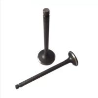 China TEM Mitsubishi 4D31 4D30 Diesel Engine Valve ME011244 ME011245 Seat Guide for sale