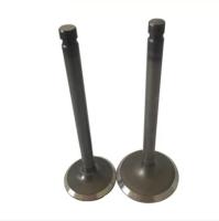 China TEM 13711-35010 Diesel Engine Valve For Toyota 22R 13715-35010 for sale