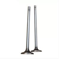 China TEM 2418383 2418382 Intake Exhaust Valve For C9 for sale